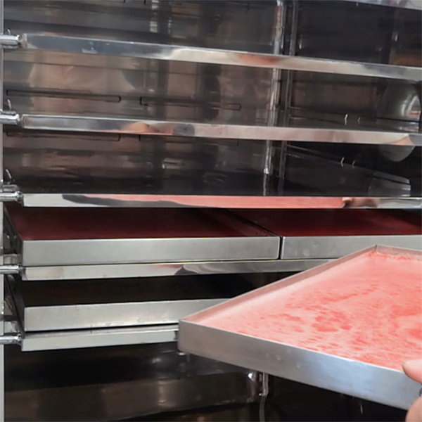 Pharmaceutical Freeze Dryers - Vekuma Freeze Dryers