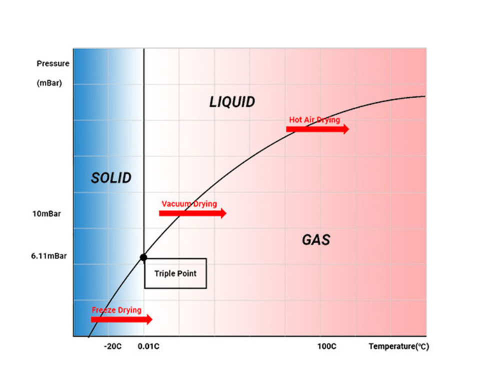 Ice Condenser in Freeze Dryer, How it Collects Vapors, Types ...