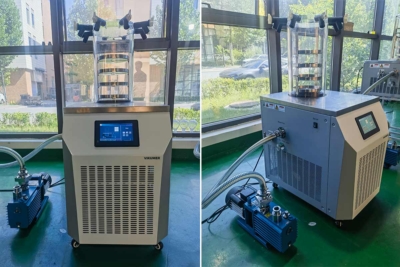 LGJ-20 -80C 5Kgs Laboratory Freeze Dryer - Vekuma Freeze Dryers