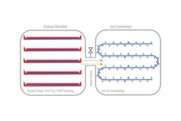 Ice Condenser in Freeze Dryer, How it Collects Vapors, Types ...
