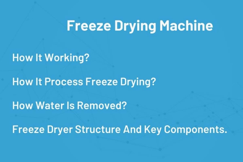 How Freeze Dryer Machine Working, How it Processes Freeze Drying ...