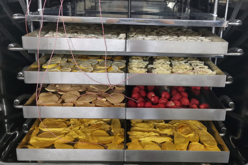 Fruit Freeze Drying Practices: Apple, Banana, Lemon, Pineapple ...